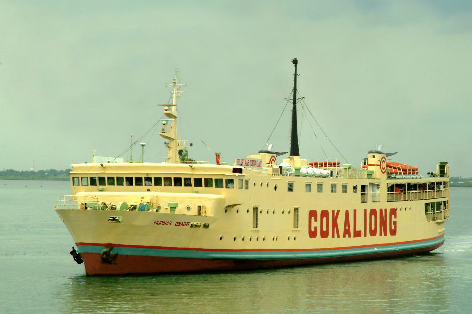 Projects - Cokaliong Shipping Lines