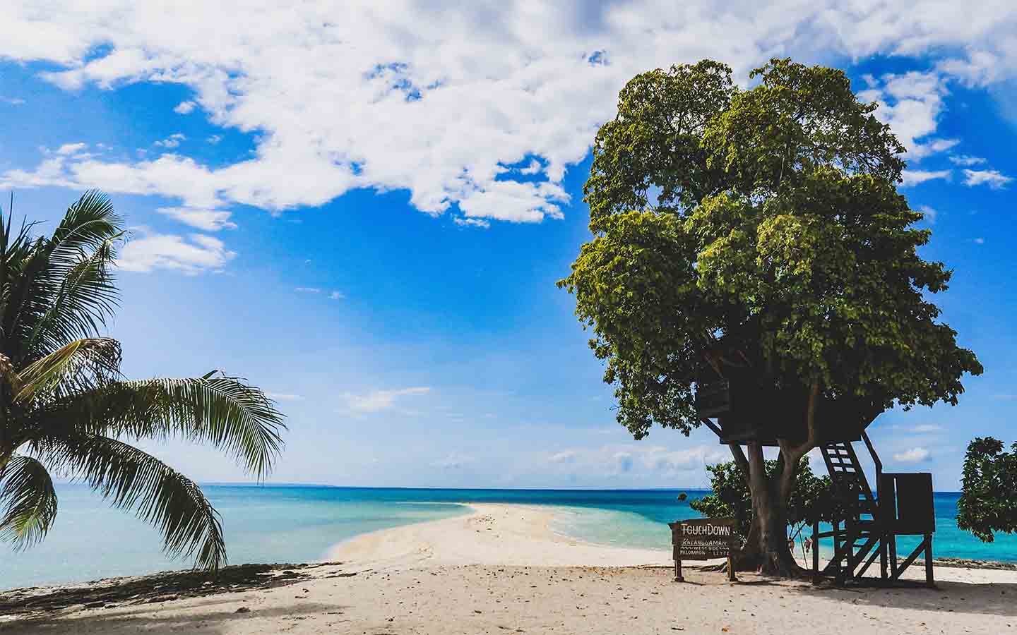 Services - Cokaliong Shipping Lines